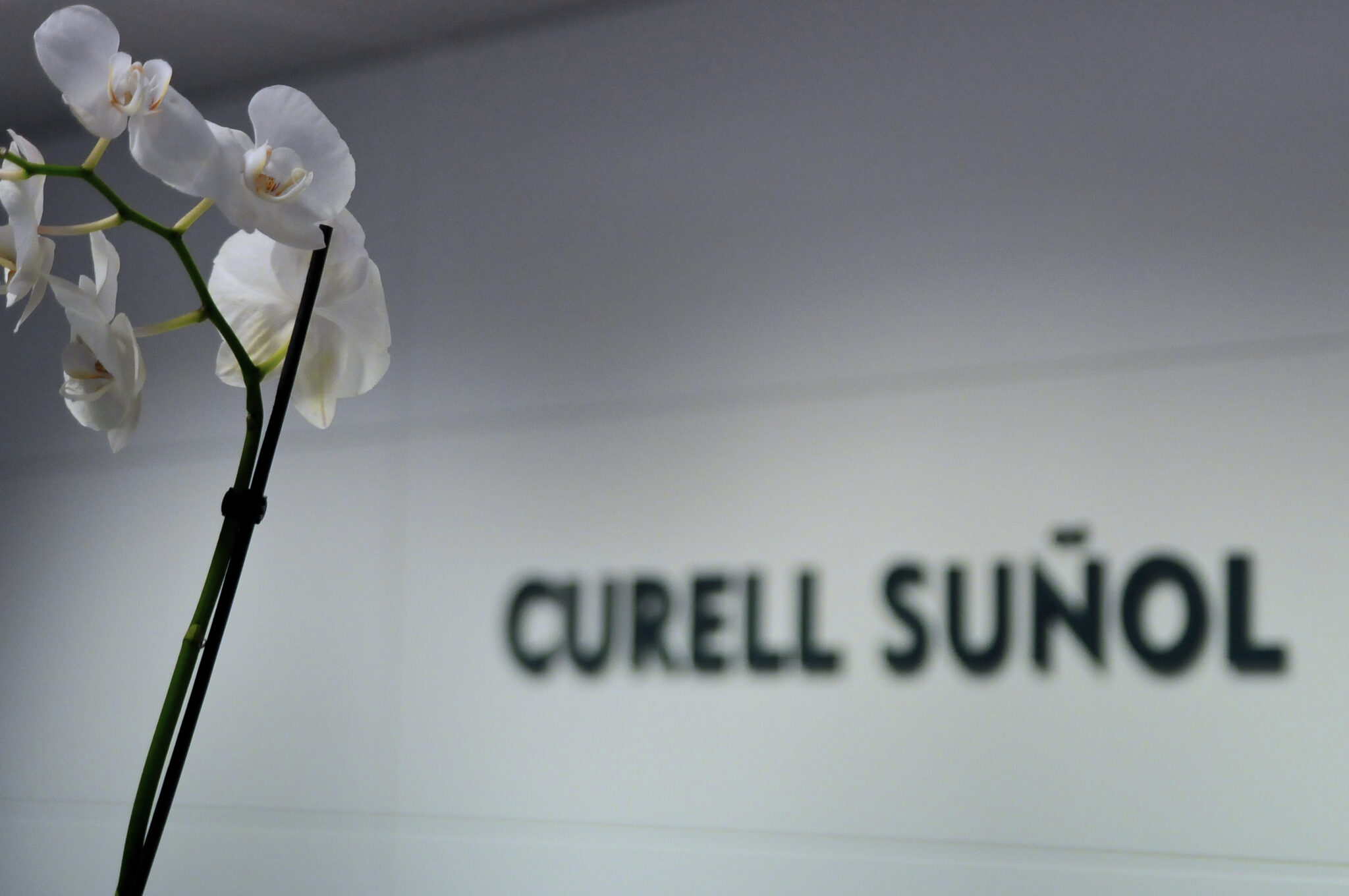 History | Curell Suñol