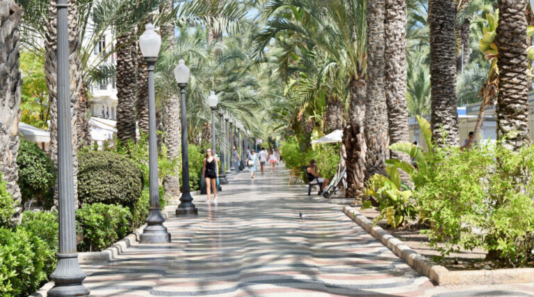 Contact | Curell Suñol